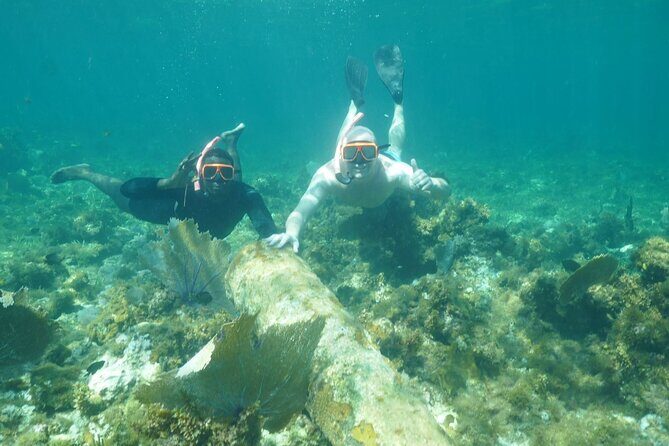 Guided Snorkeling at the Anchor and Cannon Reef in Negril - The Itinerary in Detail
