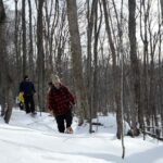Guided Snowshoe Tour in Mont-Tremblant - The Value of This Experience
