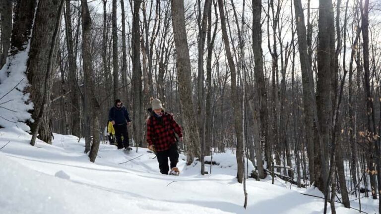 Guided Snowshoe Tour in Mont-Tremblant - The Value of This Experience
