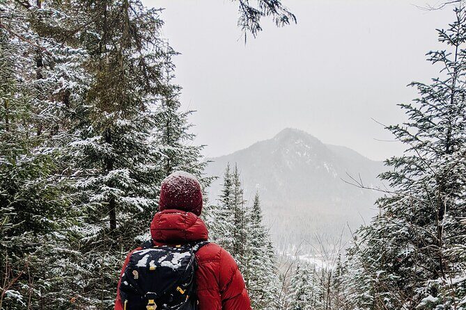Guided Snowshoeing Adventure in the Boreal Forest - Who Should Book This Tour?
