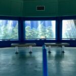 Guided Tour of Coral World Ocean Park & Happy Hour - What the Reviews Say