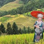 Guilin: In-Depth Longji Rice Terraces Day Trip with Lunch - The Value of the Experience