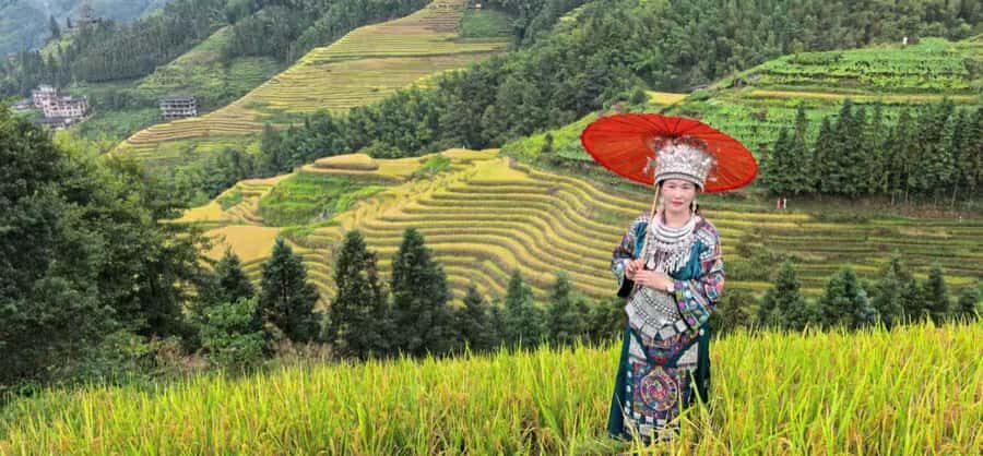 Guilin: In-Depth Longji Rice Terraces Day Trip with Lunch - The Value of the Experience