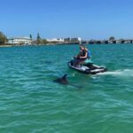 Gulf of Mexico: Guided Jet Ski Tour with Dolphin Watching - Is This Tour For You?
