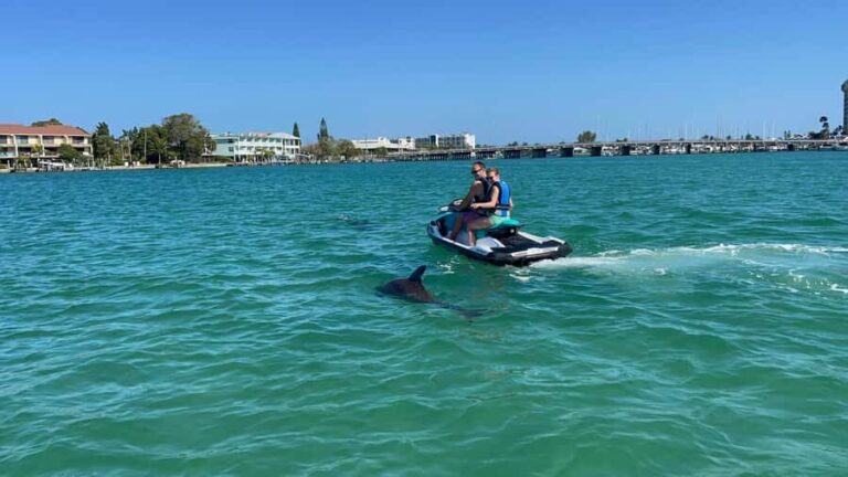 Gulf of Mexico: Guided Jet Ski Tour with Dolphin Watching - Is This Tour For You?