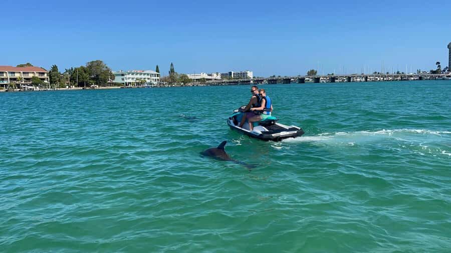 Gulf of Mexico: Guided Jet Ski Tour with Dolphin Watching - Is This Tour For You?