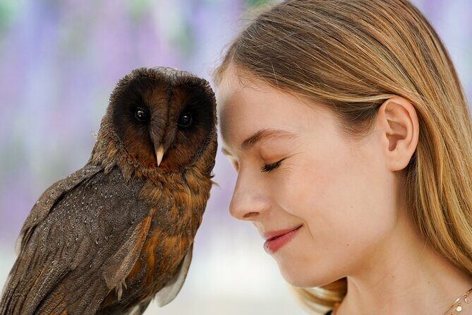 Gyeonggi Begonia Bird Park Ticket - The Sum Up