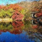 Gyeongju Full-Day Guided Tour from Seoul - Bulguksa Temple: Korea’s UNESCO Treasure