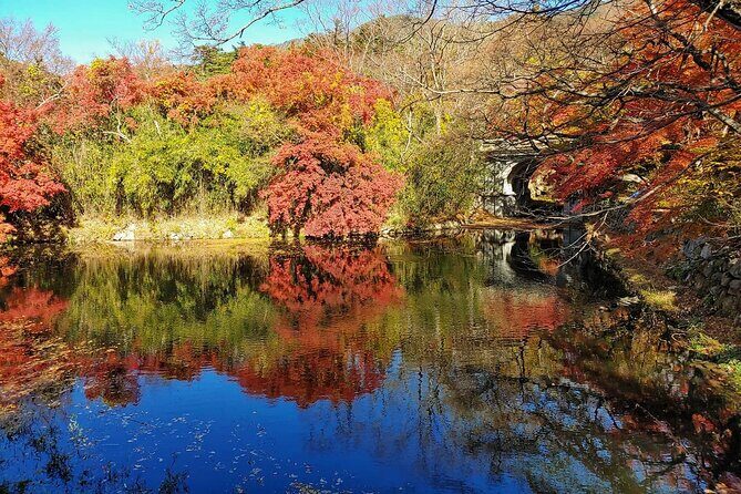 Gyeongju Full-Day Guided Tour from Seoul - Bulguksa Temple: Korea’s UNESCO Treasure