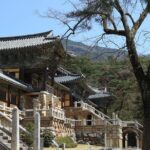 Gyeongju The UNESCO World heritage sites tour(Private tour) - Exploring Gyeongju: The Core of Korea’s Heritage