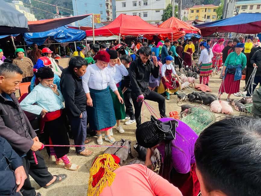 Ha Giang: Dong Van Market Fair Tour with Guide - The Itinerary in Detail