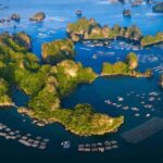 Ha Long Bay Cruise - Swimming, Meal, Kayaking In 1 Day - Analyzing the Value