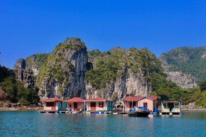 Ha Long Bay Day Cruise, Cave, Kayaking, Swimming, Bus & Lunch - What Travelers Love and What to Keep in Mind