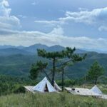 Ha Long Private tour - local sites - An In-Depth Look at the Ha Long Private Tour