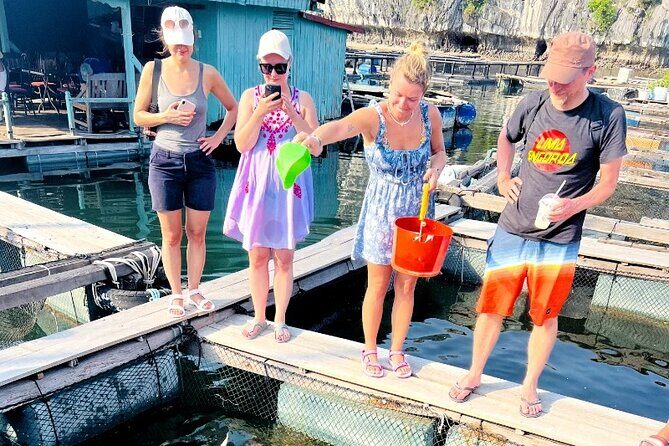 Ha Noi 3D2N Ninh Binh and Lan Ha Bay Adventure - Practical Considerations and Tips