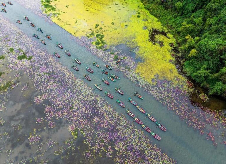 Ha Noi: Explore Ninh Binh Nature in One Day Tour - The Practicalities and What Sets This Tour Apart