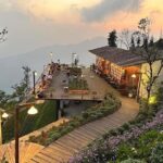 Ha Noi : Tam Dao Tour Full Day By Private Car - Analyzing the Value