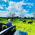 Habarana: Elephants & Loris Watching Night Safari Tour - The Itinerary Breakdown
