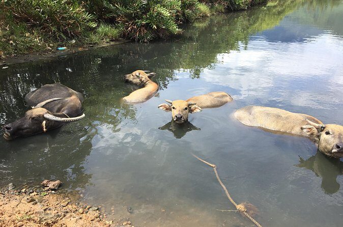 HAI VAN PASS JEEP TOUR - Top Gear Explore by JEEP - An In-Depth Look at the Hai Van Pass Jeep Tour