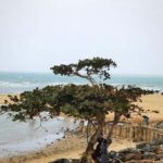 Haikou Local Life: Natural Volcano, Wetlands & Old Markets - Practical Details and Tips