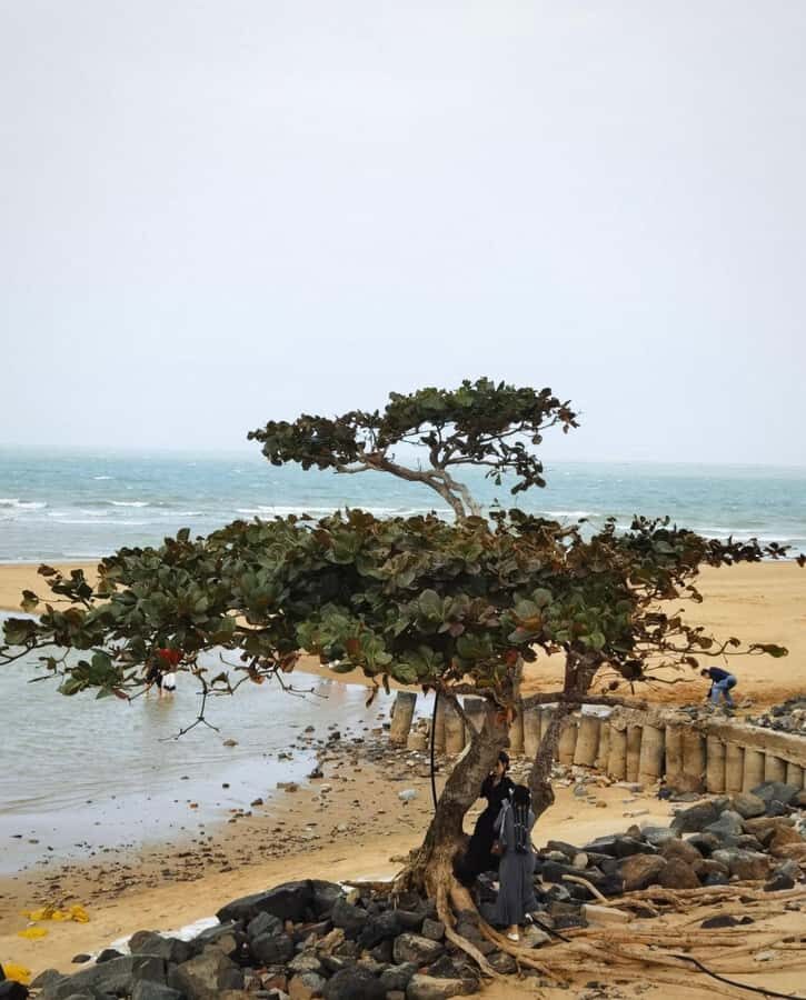 Haikou Local Life: Natural Volcano, Wetlands & Old Markets - Practical Details and Tips