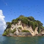 Haitises & Montaña Redonda: Nature's Beauty Tour - Who Will Love This Tour?