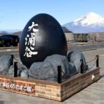 Hakone & Mount Fuji Day Trip:Lake Ashi Torii Gate & Oshino Hakkai - The Value and Experience