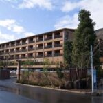 Hakone Onsen Hotel Stay with Optional Private Car Transfer - What Makes This Tour a Great Choice?