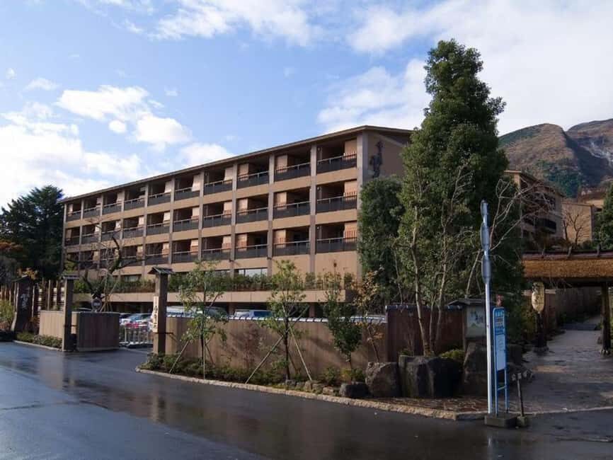 Hakone Onsen Hotel Stay with Optional Private Car Transfer - What Makes This Tour a Great Choice?