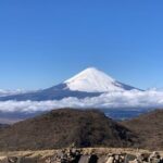 Hakone Private One Day Tour From Tokyo: Mt Fuji, Lake Ashi, Hakone National Park - Who Should Consider This Tour?