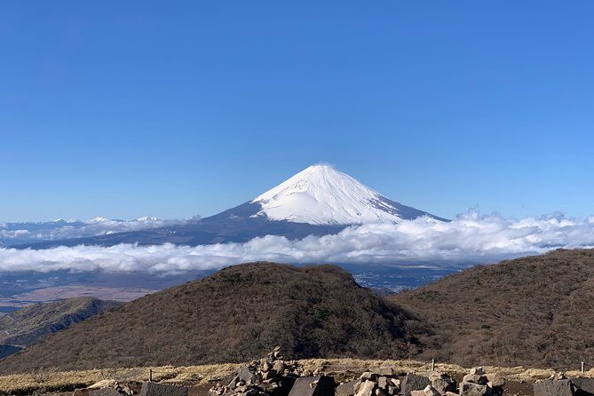 Hakone Private One Day Tour From Tokyo: Mt Fuji, Lake Ashi, Hakone National Park - Who Should Consider This Tour?
