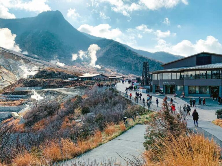 Hakone Private Tour: Bespoke Day from Your Hotel - Who Should Consider This Tour?
