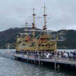 Hakone Private Tour from Tokyo  Lake Ashi & Owakudani - The Practicality of a Private Hakone Tour from Tokyo