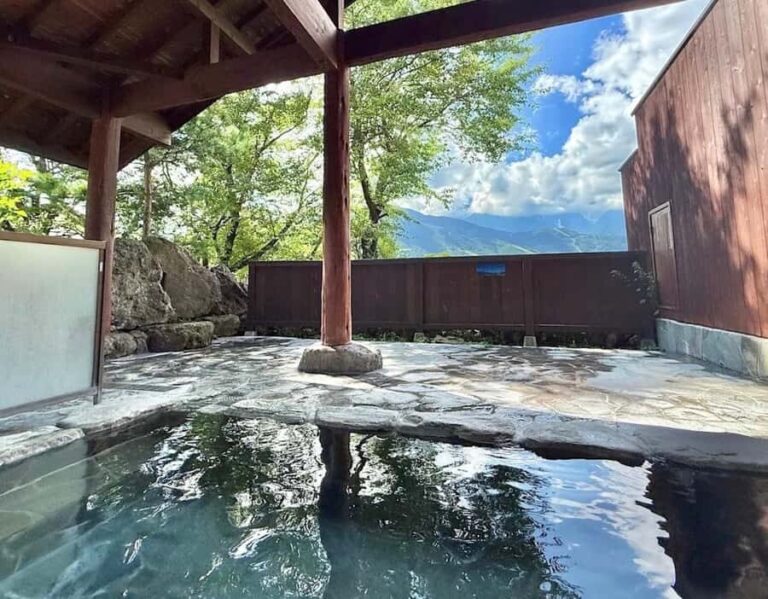 Hakuba: Onsen and Izakaya Night Tour with Dinner - Who Is This Tour Best Suited For?