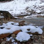 Hakuba: Snow Monkeys and Alpine Escape Private Tour - What Makes This Tour Stand Out?