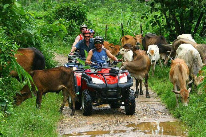 Half-Day Adventure 4x4 ATV, Water Cave and Dominican Culture - What’s Included and What to Bring