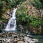 Half Day Adventure Private Tour in El Yunque Rainforest - The Itinerary in Detail