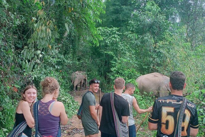 Half Day Afternoon Elephant Observation Tour in Chiang Mai - Analyzing the Experience