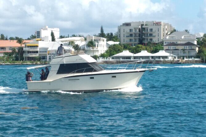 Half-Day at Green Cay Bahamas Snorkeling with Turtles - What’s Included and How It Works