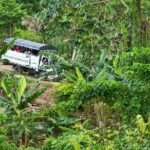 Half-Day Authentic Safari and Traditional Combo - The Value: How Does It Stack Up?