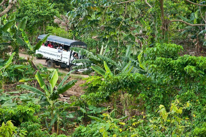 Half-Day Authentic Safari and Traditional Combo - The Value: How Does It Stack Up?