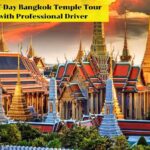 Half-Day Bangkok Temple Tour with Professional Driver - Who Will Love This Tour?