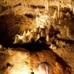 Half-Day Barbados Tour Harrisons Cave Hunte's Garden and Bathsheba - Who Is This Tour Best Suited For?