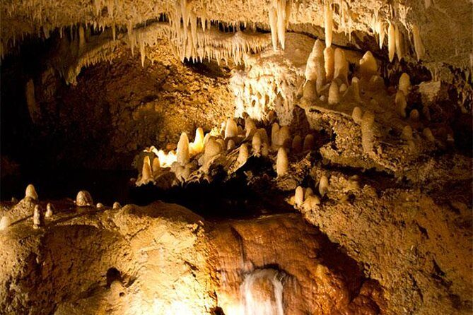 Half-Day Barbados Tour Harrisons Cave Hunte's Garden and Bathsheba - Who Is This Tour Best Suited For?