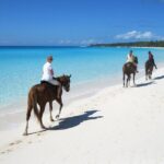 Half-Day Beach Horse Back Riding in Puerto Plata - What Makes This Tour Stand Out?