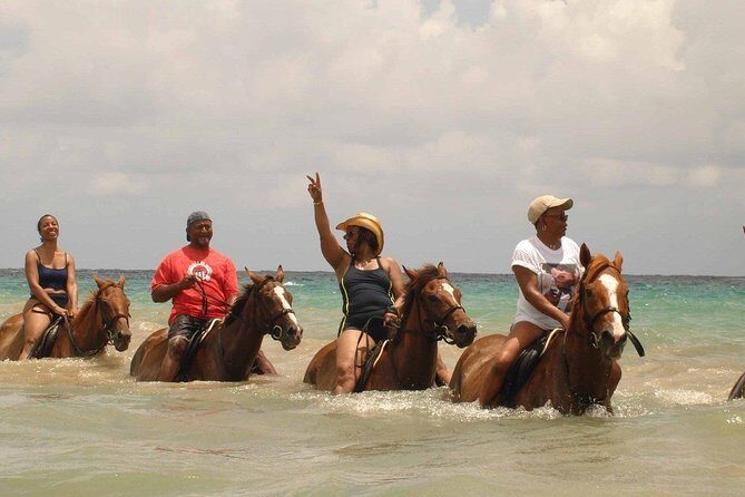 Half Day Beach Horseback Riding in Ocho Rios + Lunch - What the Reviews Say