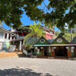 Half Day Bob Marley Private Nine Mile Mausoleum Tour - Who Should Consider This Tour?