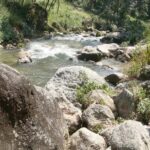Half day Budaneelkantha hiking tour - What Travelers Can Expect