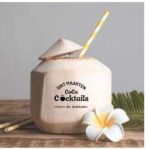 Half-Day Cocktails Mixology in Philipsburg and Orient Bay Tour - Who is This Tour Best For?