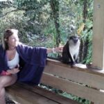 Half-Day Concord Waterfall and Chocolate Factory Tour - Transportation, Duration, and Group Size